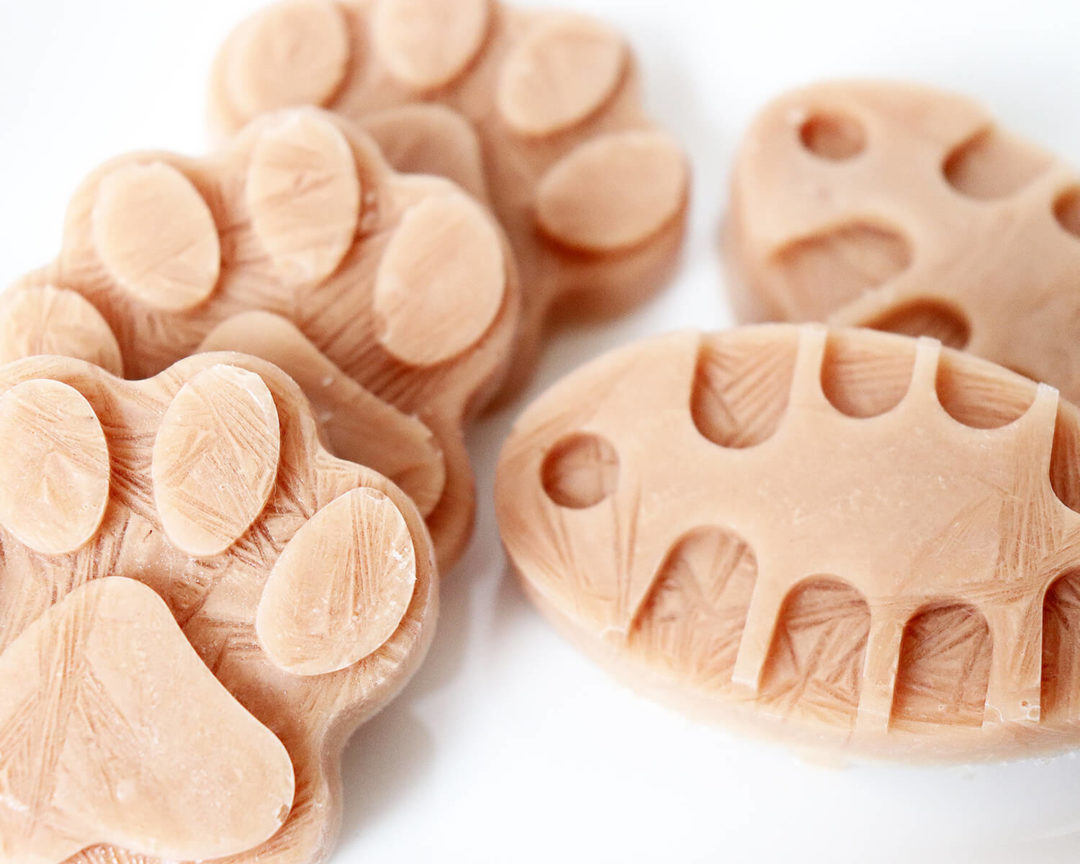 Erfrischend und lecker: 3 DIY Snacks für Katzen! - Green Miracle